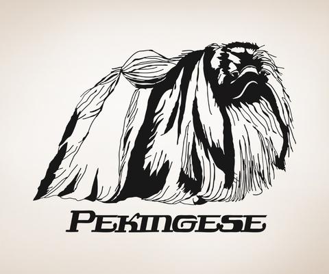 Online Show Information – Pekingese Online Show